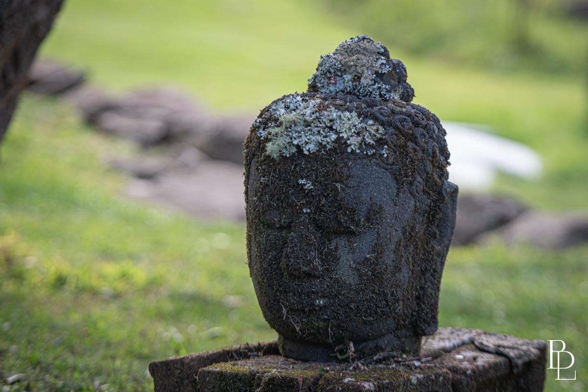 218 Bundewallah Road, BUNDEWALLAH NSW 2535 - Bond Lifestyle Properties